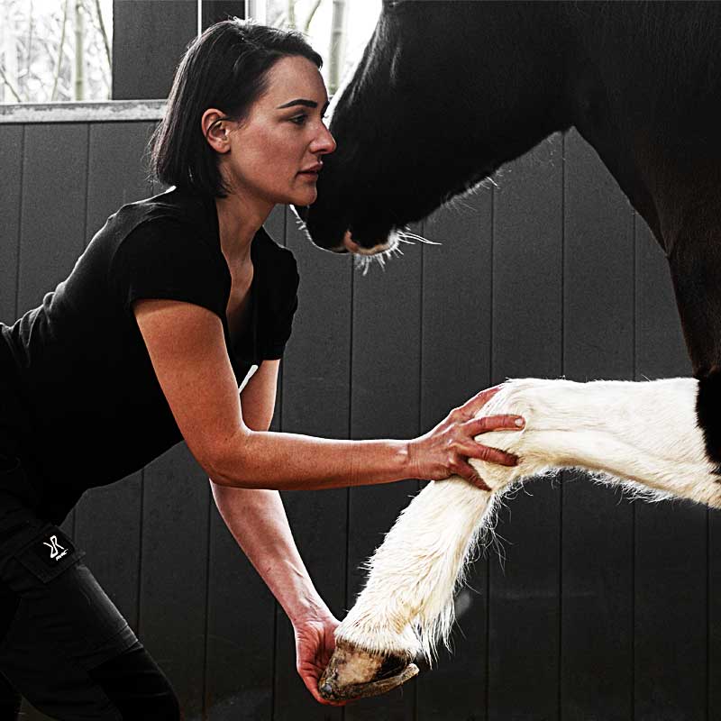 FAXA PHYSIO - MASSAGE- UND DEHNTECHNIK